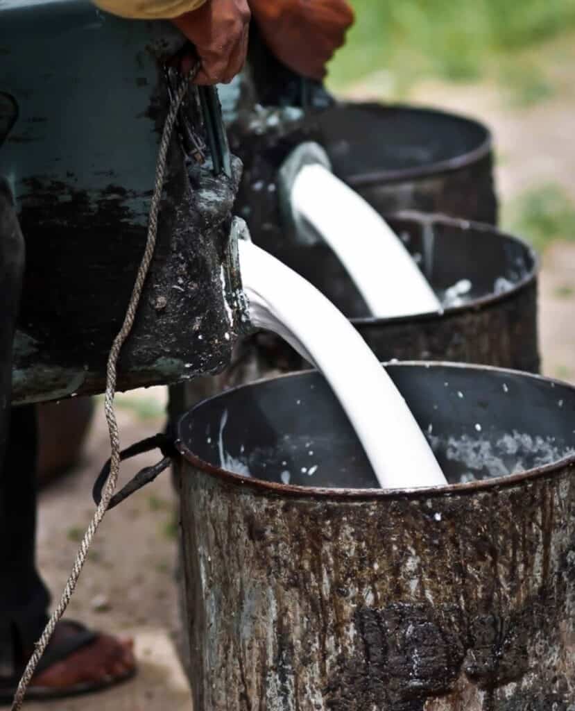 Why Join RubberWay - RubberWay